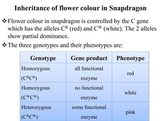 Genetics_SBB_1204_Part_I_Mendelism_and_Post-Mendelism.pptx
