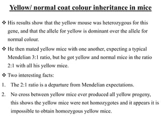 Genetics_SBB_1204_Part_I_Mendelism_and_Post-Mendelism.pptx