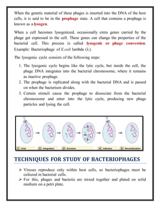 Viruses and their genetic system | DOCX