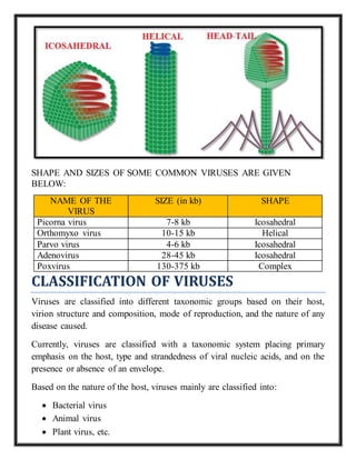 Viruses and their genetic system | DOCX