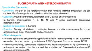 Genetics Series Chromosomes.pptx