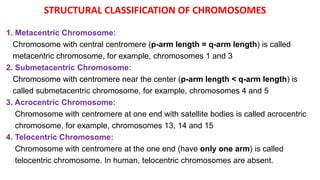 Genetics Series Chromosomes.pptx