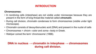Genetics Series Chromosomes.pptx