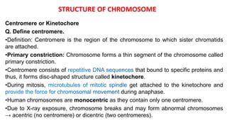 Genetics Series Chromosomes.pptx