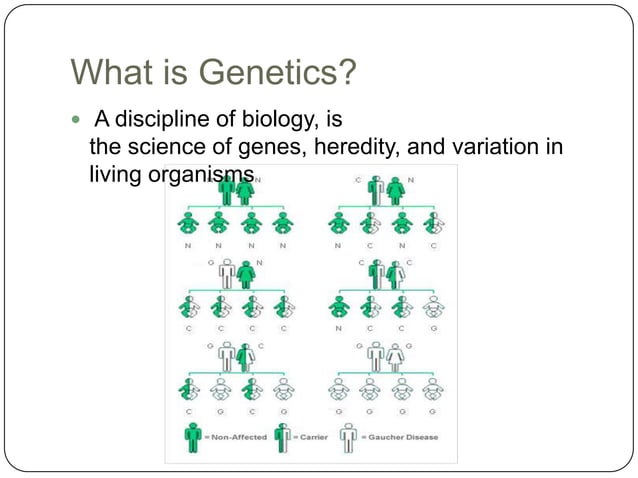 Genetics (short) | PPTX