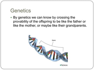 Genetics (short) | PPTX