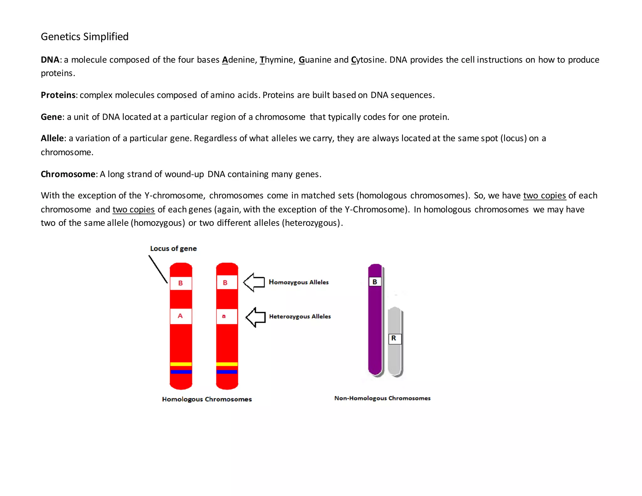 Genetics Simplified | PPT