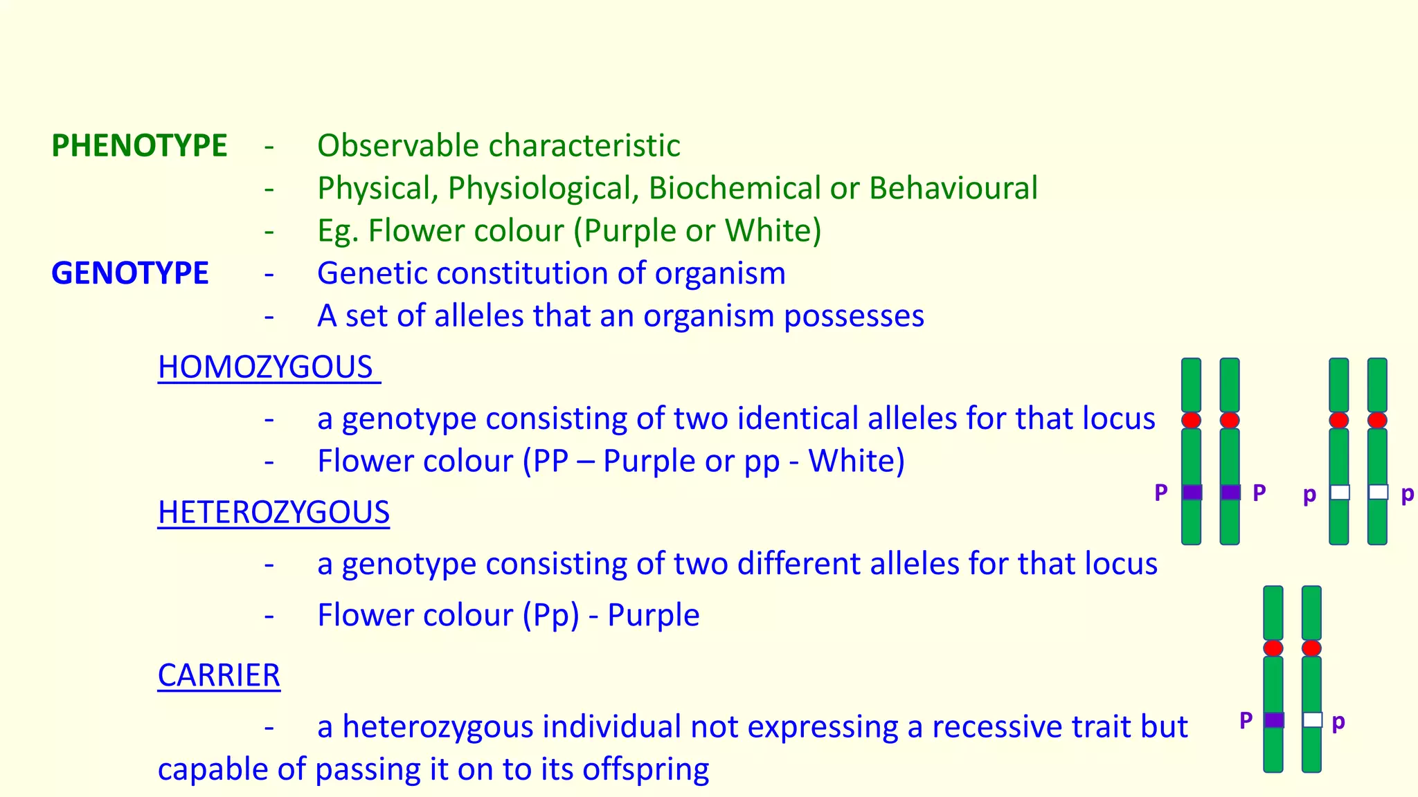 Genetics terminologies | PPTX