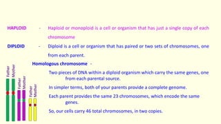 Genetics terminologies | PPTX