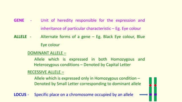 Genetics terminologies | PPTX | Genetics | Science