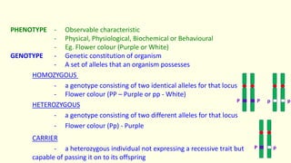 Genetics terminologies | PPTX