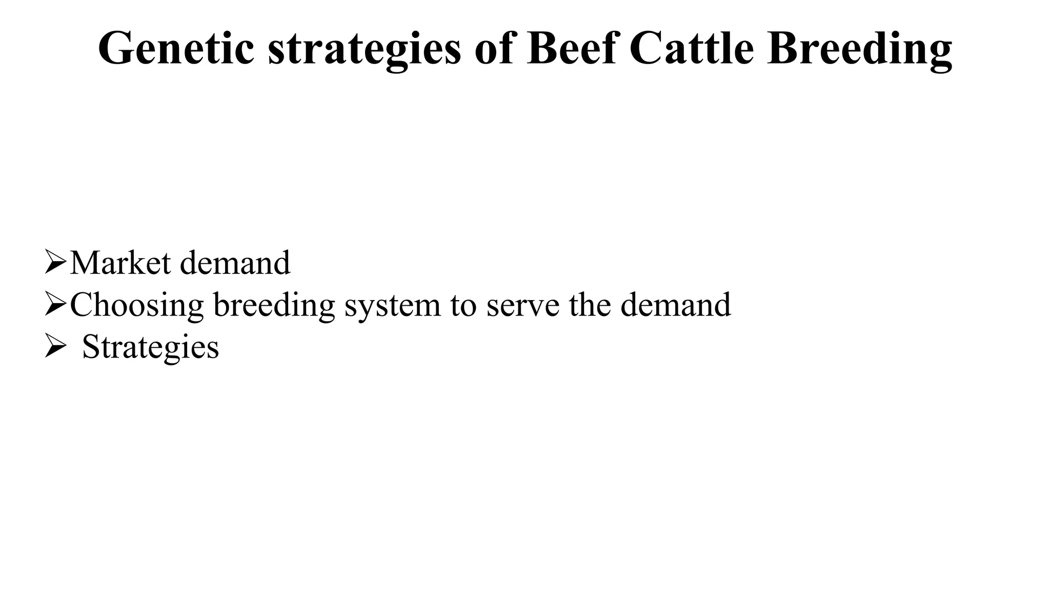 Genetic strategies of beef cattle breeding | PPTX