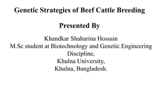 Genetic strategies of beef cattle breeding | PPTX