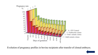 Genetic strategies of beef cattle breeding | PPTX