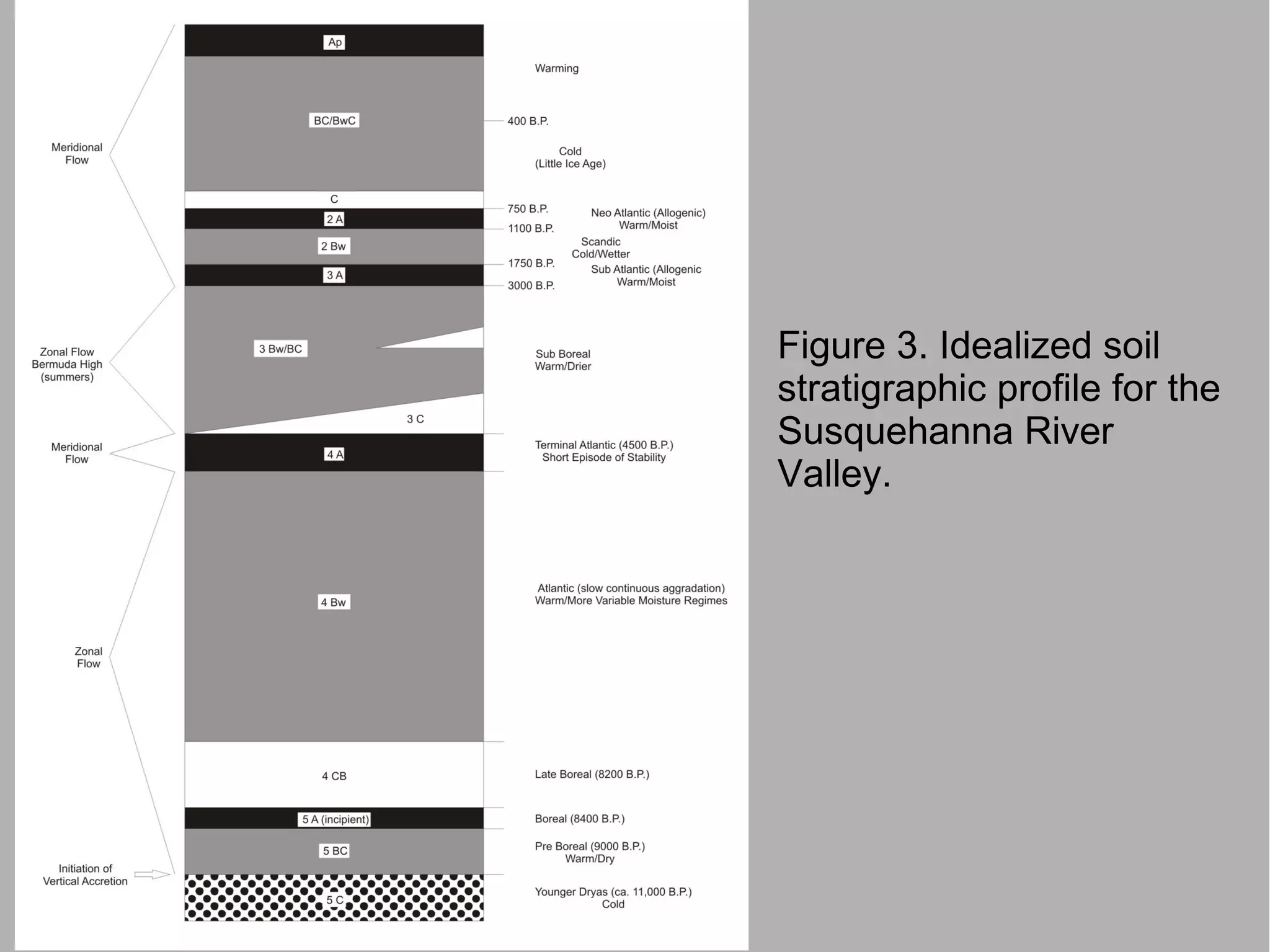Genetic Stratigraphy and Late Holocene Palesols and their relationship ...