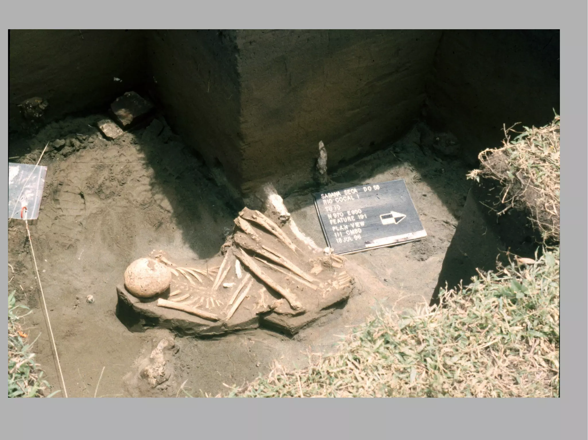 Genetic Stratigraphy and Late Holocene Palesols and their relationship ...