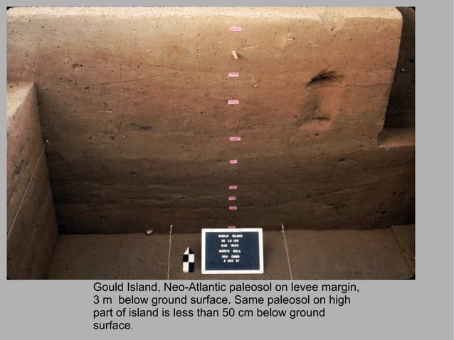 Genetic Stratigraphy and Late Holocene Palesols and their relationship ...