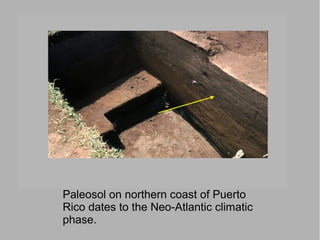 Genetic Stratigraphy and Late Holocene Palesols and their relationship ...