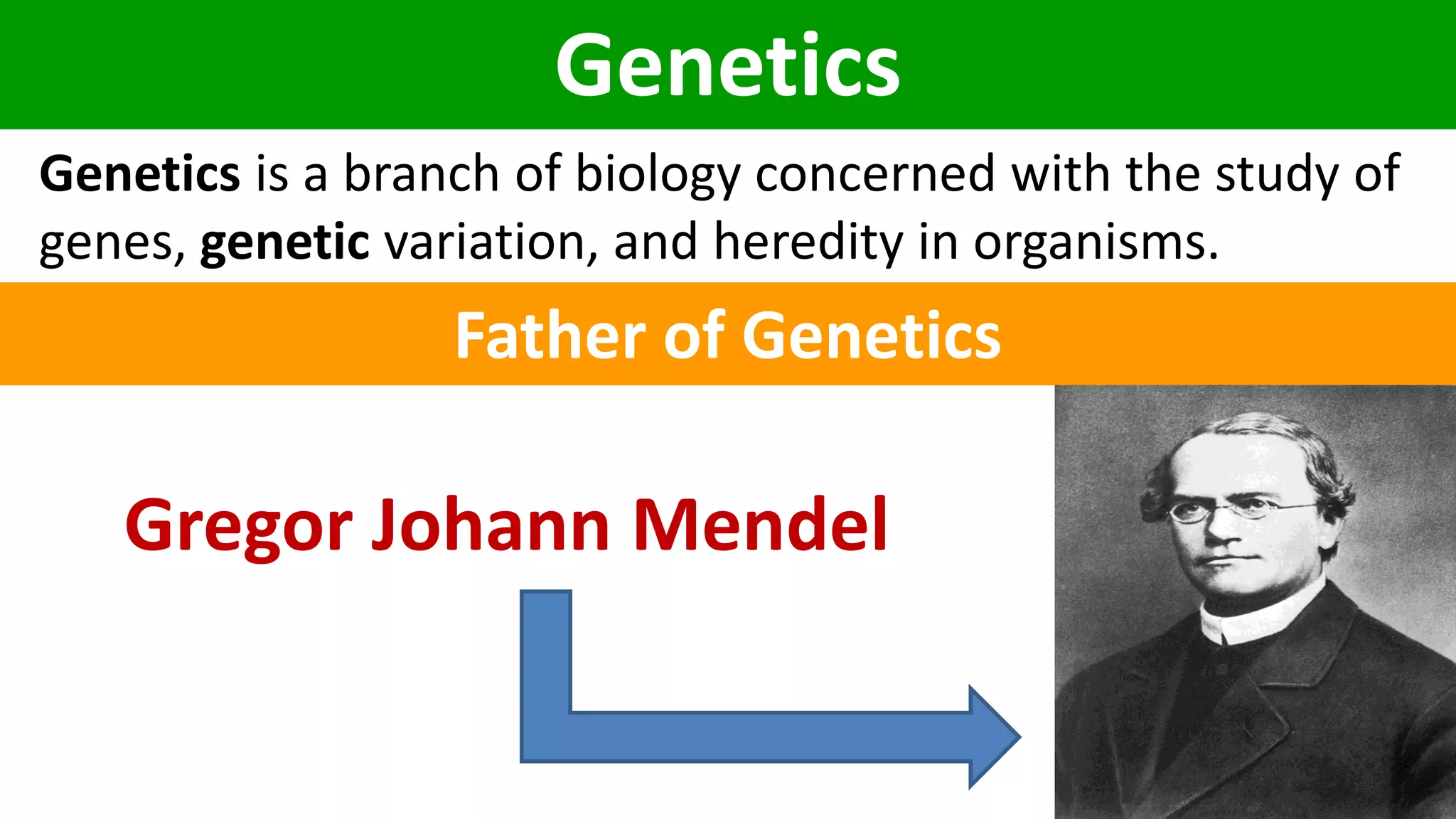Genetics (unit 4) | PDF
