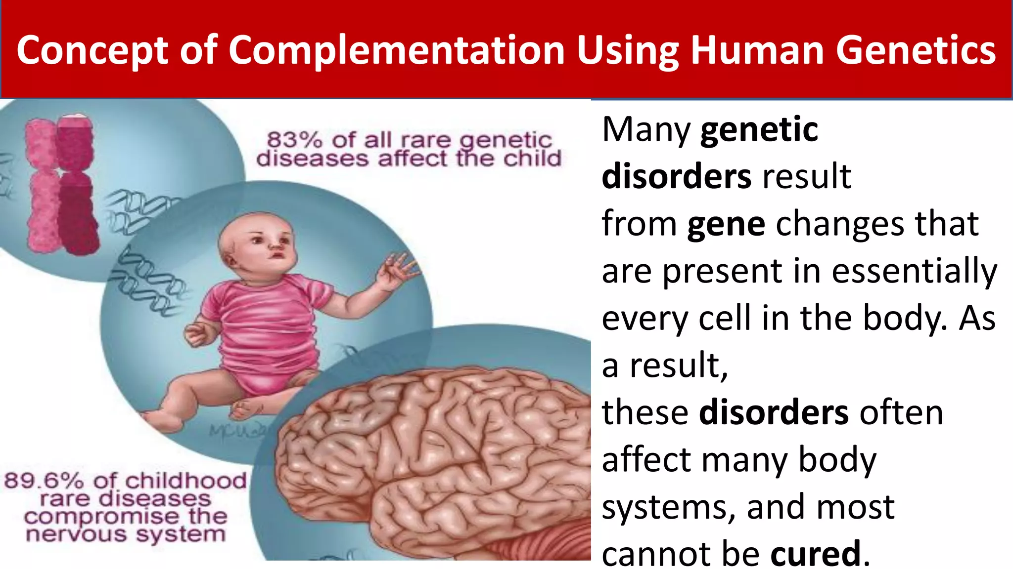 Genetics (unit 4) | PDF