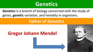 Genetics (unit 4) | PDF | Biological Sciences | Science