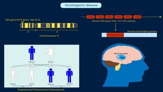 Genetics (unit 4) | PDF
