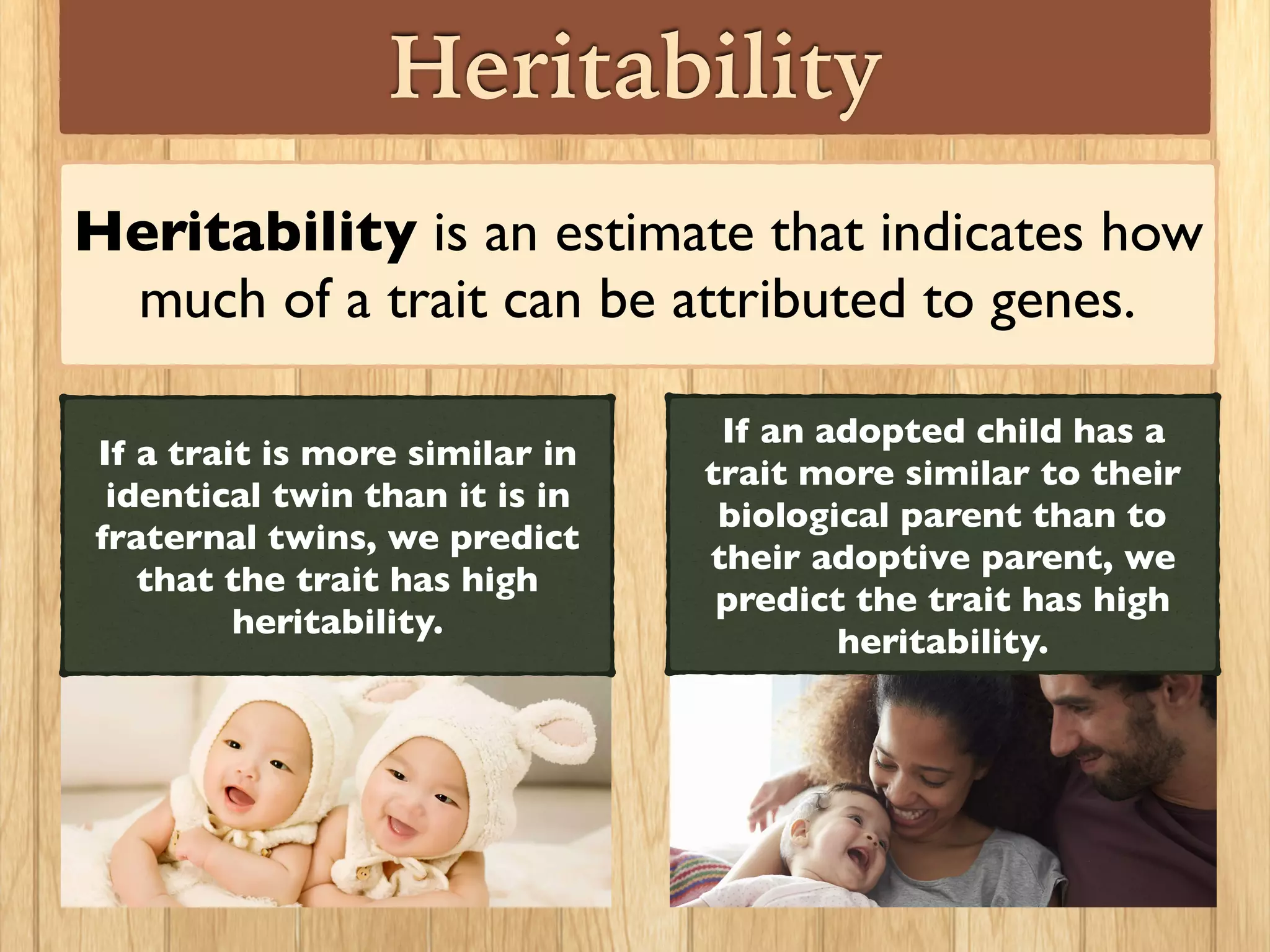 Genetics & Behavior | PDF