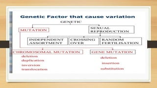 Genetics varaiation.1 | PPTX
