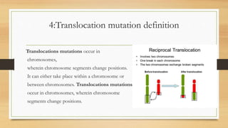 Genetics varaiation.1 | PPTX