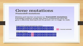 Genetics varaiation.1 | PPTX