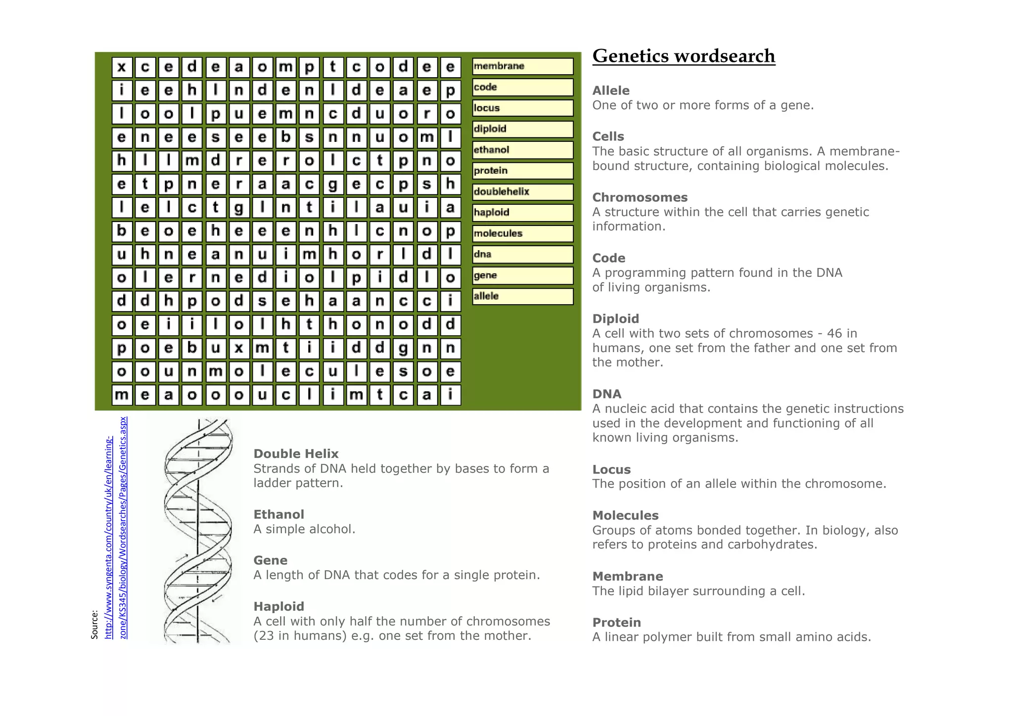Genetics wordsearch | PDF