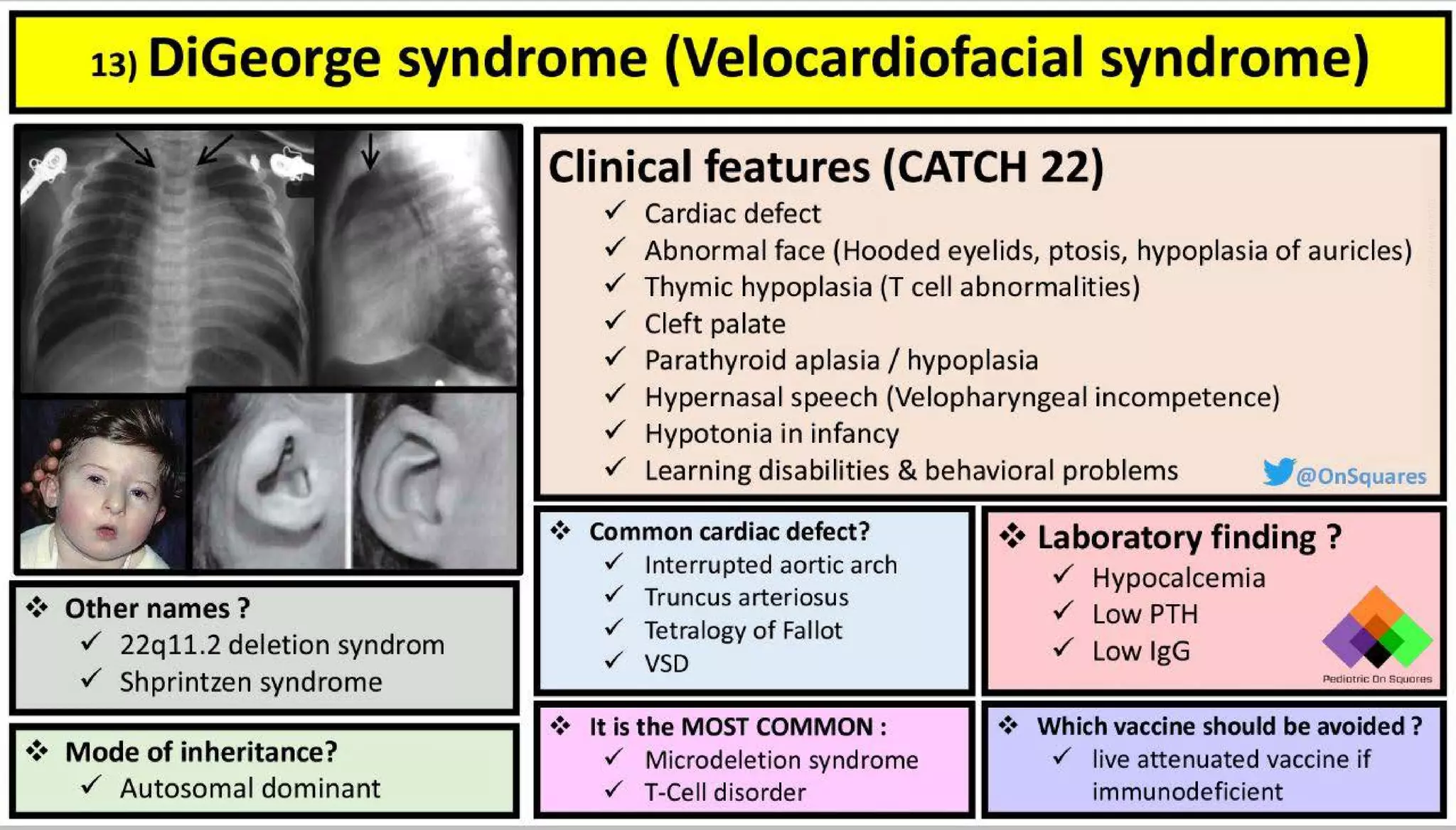Genetic syndromes | PDF