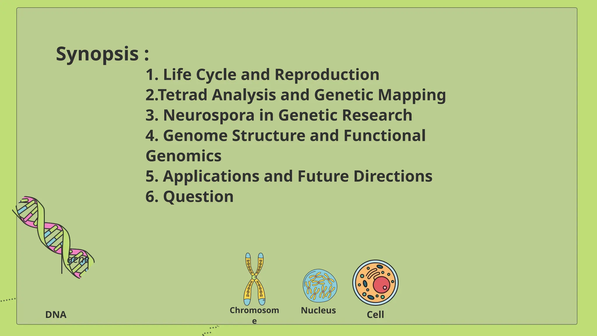 GENETIC SYSTEM OF NEUROSPORA fnl .pptx.ppsx