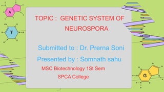 GENETIC SYSTEM OF NEUROSPORA fnl .pptx.ppsx