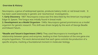 GENETIC SYSTEM OF NEUROSPORA fnl .pptx.ppsx