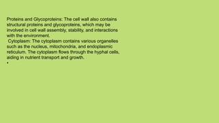 GENETIC SYSTEM OF NEUROSPORA fnl .pptx.ppsx