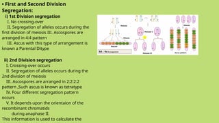 GENETIC SYSTEM OF NEUROSPORA fnl .pptx.ppsx