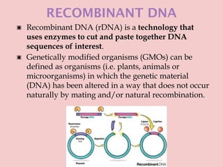 GENETIC TECHNOLOGY A level biology | PPTX