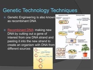 Genetic technology presentation | PPTX
