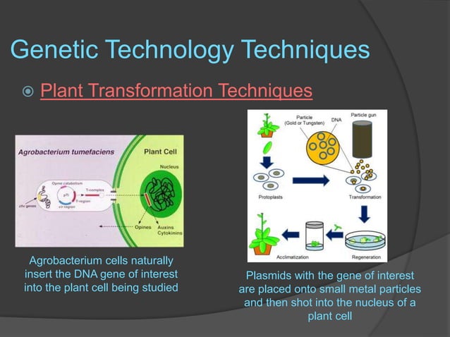 Genetic technology presentation | PPTX | Genetics | Science