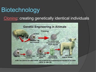 Genetic technology presentation | PPTX