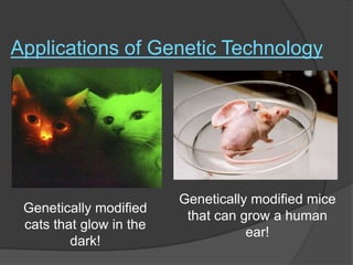 Genetic technology presentation | PPTX