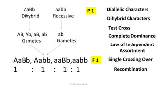 GENETICS, MENDELIAN & NON-MENDELIAN TRAITS | PPTX