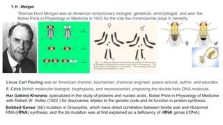 GENETICS, MENDELIAN & NON-MENDELIAN TRAITS | PPTX
