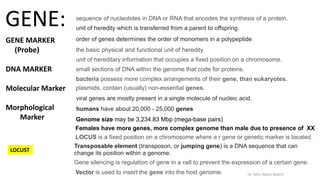 GENETICS, MENDELIAN & NON-MENDELIAN TRAITS | PPTX