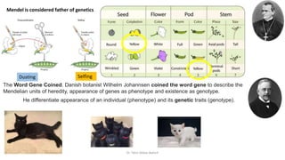 GENETICS, MENDELIAN & NON-MENDELIAN TRAITS | PPTX