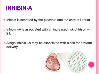 Genetic testing | PPTX