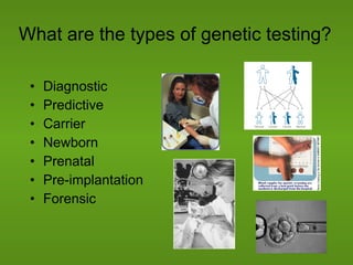 OMSI Science Pub - Genetics | PPT