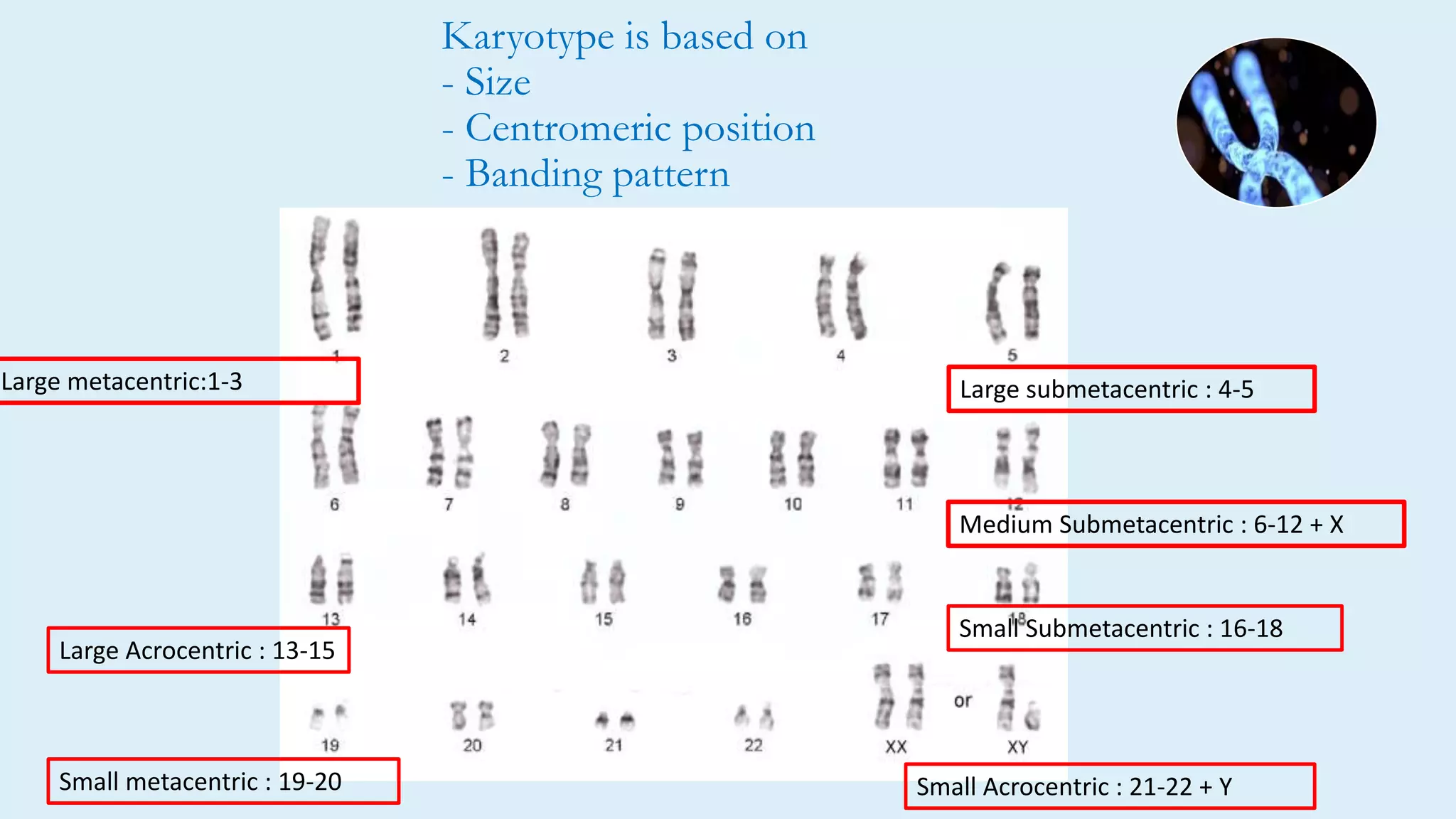 Genetic tests overview - Karyotype, FISH, MLPA, CMA, Sanger sequencing ...