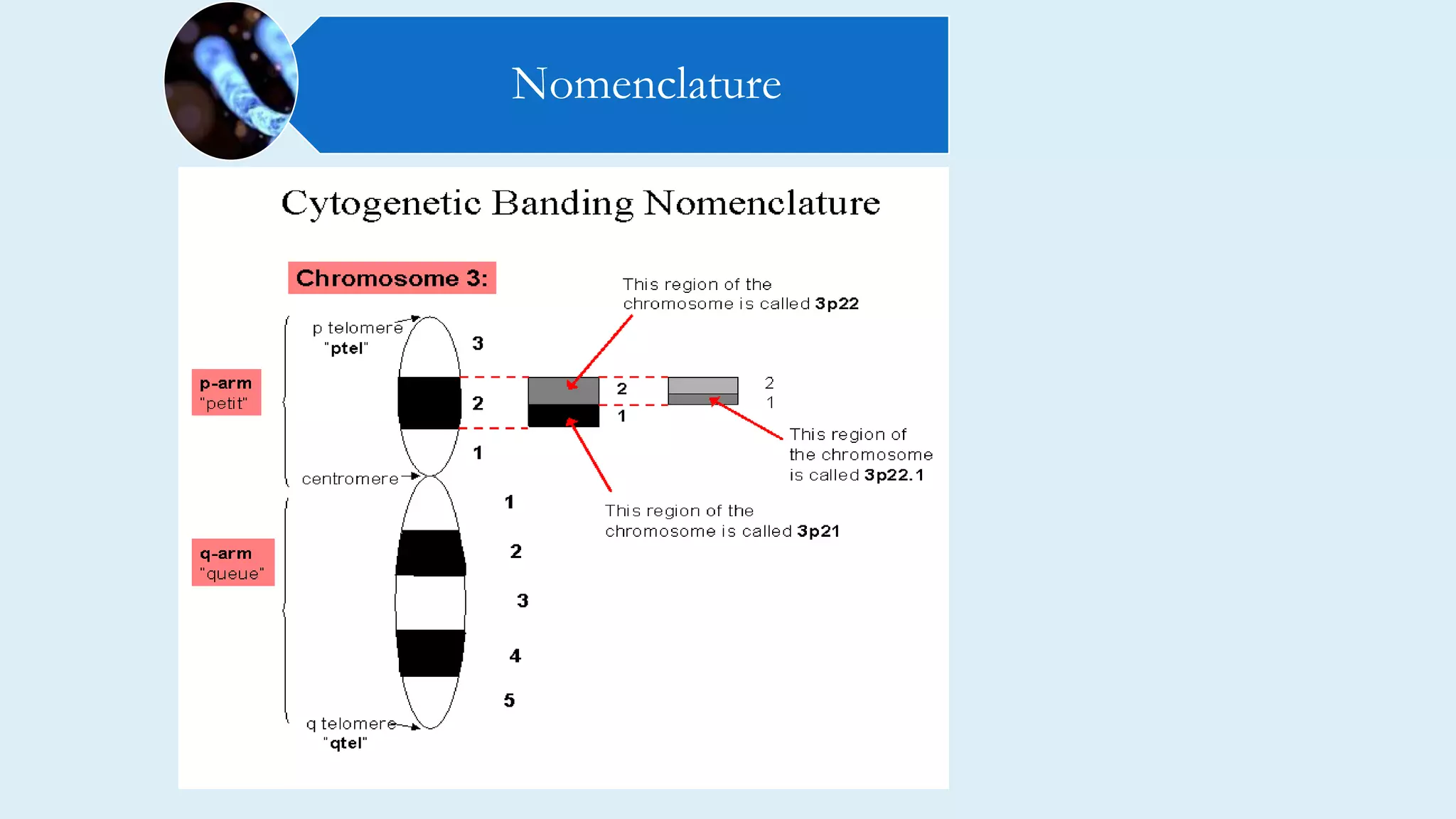 Genetic tests overview - Karyotype, FISH, MLPA, CMA, Sanger sequencing ...